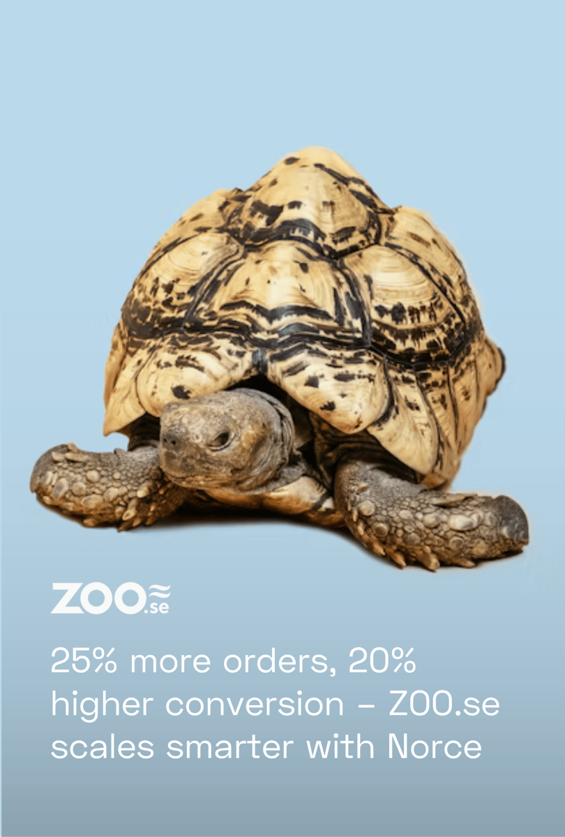 Accelerating Digital Commerce | Norce